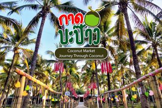 COCONUT MARKET Journey Through Cococnuts
