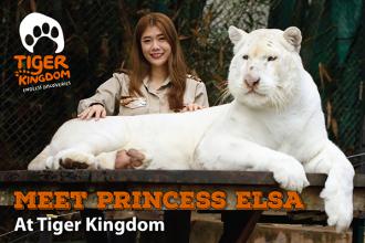 MEET PRINCESS ELSA At Tiger Kingdom